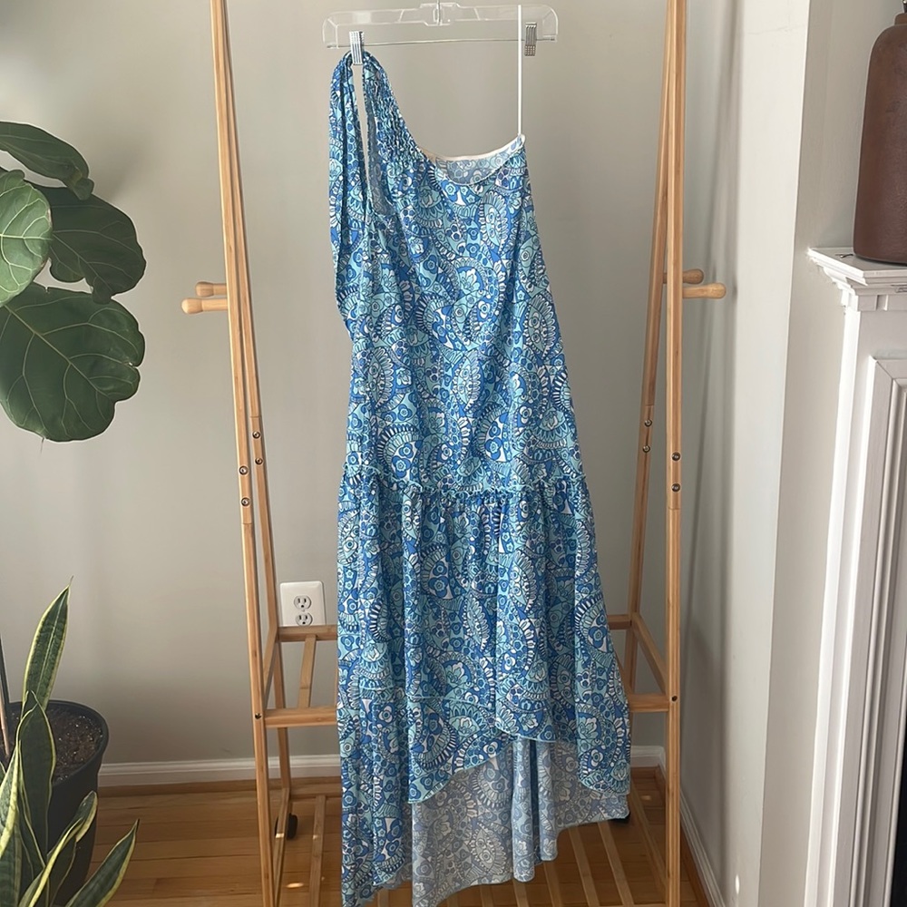 Paloma Blue Blue Floral Maxi Dress One Shoulder - Gem